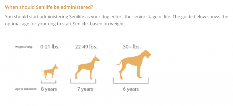 Using Senilife, a holistic supplement, for senility in pets | Dr ...