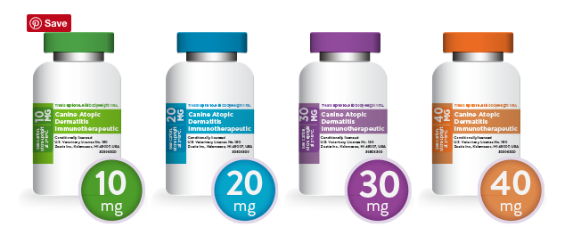 CADI_injection_dogs_atopy - Dr. Justine Lee | Dr. Justine Lee