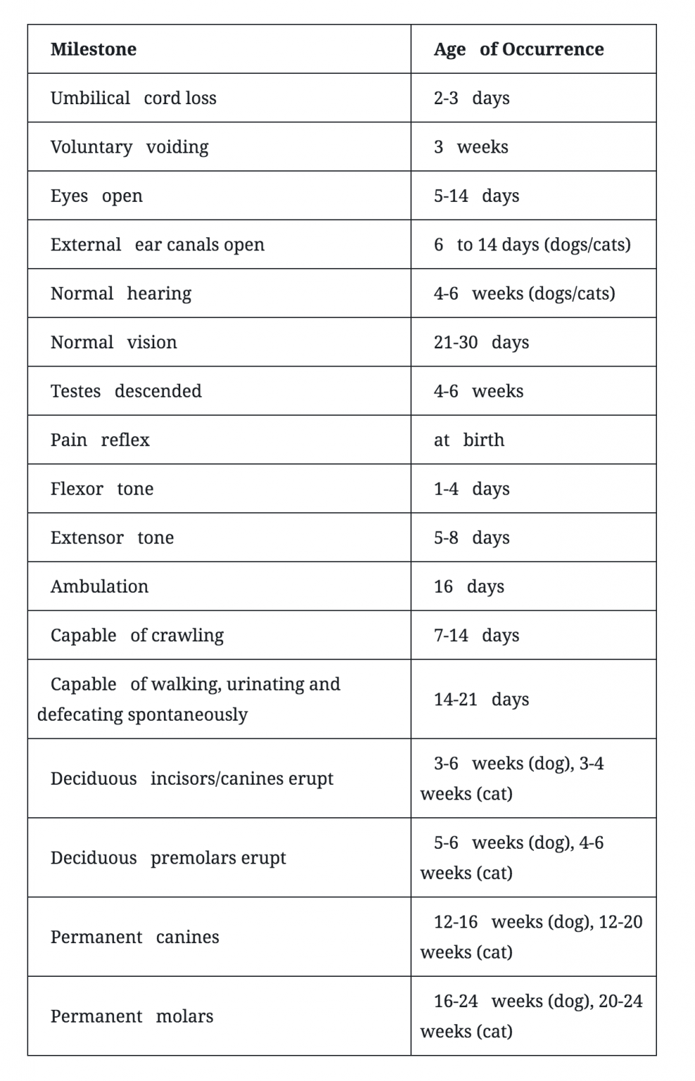 How to care for a young puppy or kitten | Dr. Justine Lee, DACVECC ...